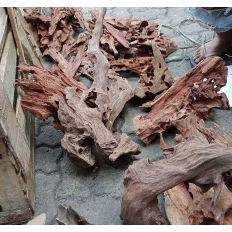 Jual Kayu rentek Aquascape Size S Aquatic Plant Indonesia|Shopee Indonesia