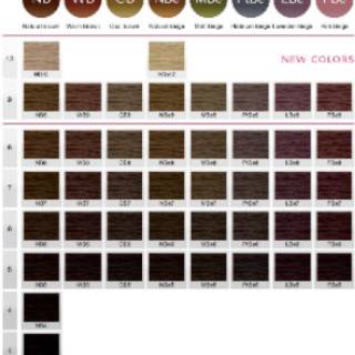Jual 80 ML Shiseido Profesional PRIMIENCE ENRICH Hair Color Warm Brown ...