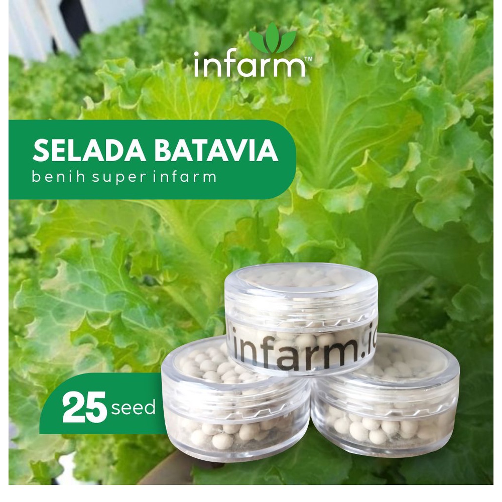 Jual INFARM - Benih Premium Rz Rijk Zwaan Jonction Selada Batavia ...