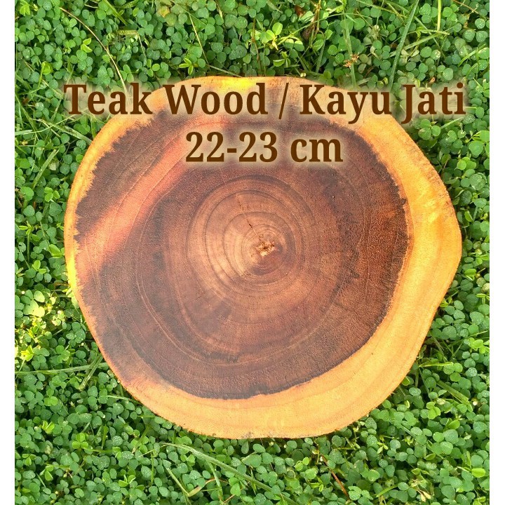 Jual Teak wood slice log kayu jati 22-23 cm rustic vintage hiasan ...