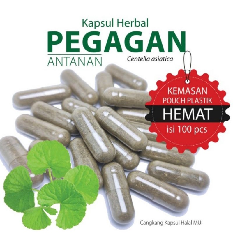Jual kapsul pegagang isi 100 | Shopee Indonesia