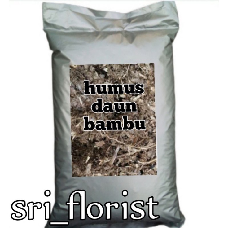 Jual humus daun bambu 1kg | Shopee Indonesia