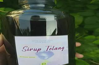 Jual Sirup Bunga Telang 500ml / Butterfly Pea Syrup | Shopee Indonesia