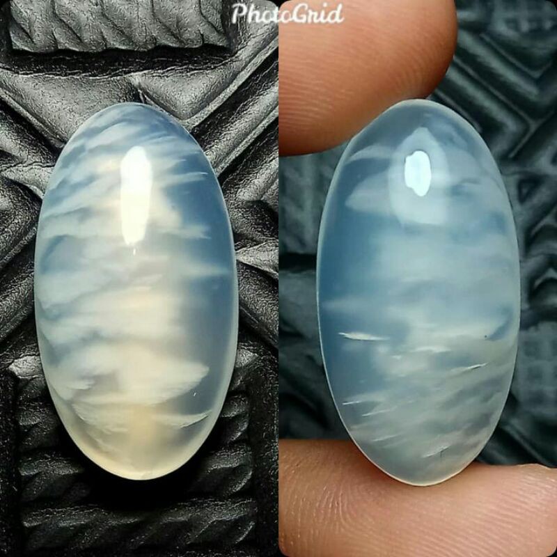 Jual Natural Pandan Sisik Alam Unik Kristal Mantap | Shopee Indonesia Jual Natural Pandan Sisik Alam Unik Kristal Mantap | Shopee Indonesia