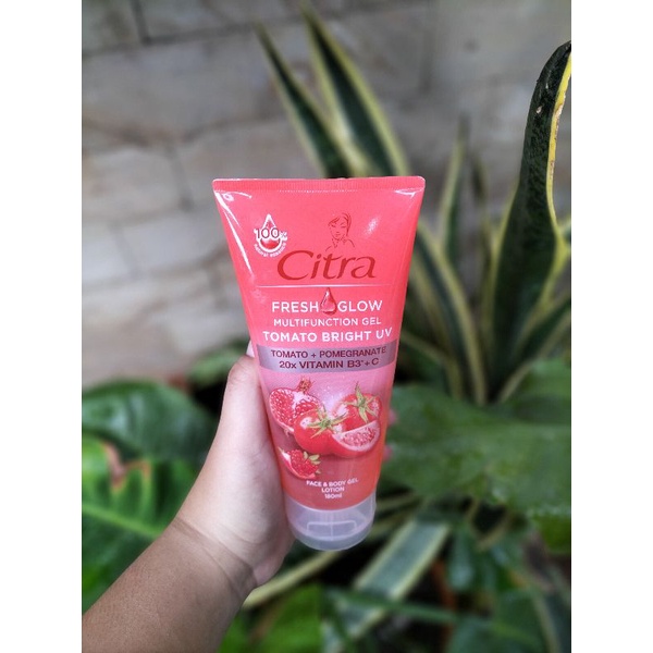 Jual Citra Fresh Glow Multifunction Gel Tomato Bright Uv 180Ml | Shopee ...