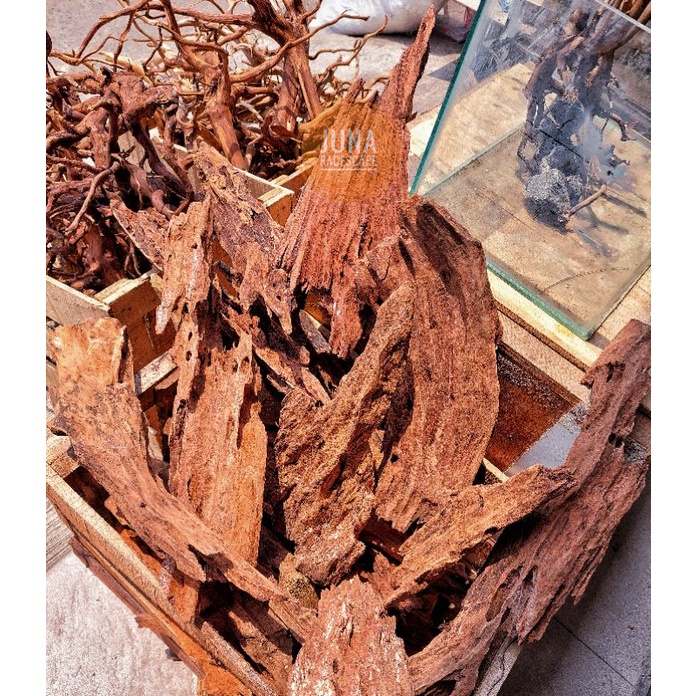 Jual KAYU RENTEK DRIFTWOOD AQUASCAPE AQUARIUM AKUARIUM BIOTOPE REFTIL ...