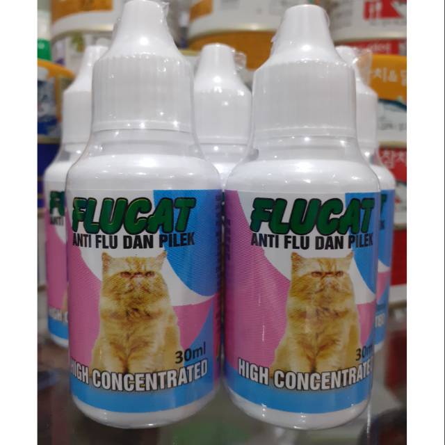 Jual FLUCAT Obat flu dan pilek kucing | Shopee Indonesia