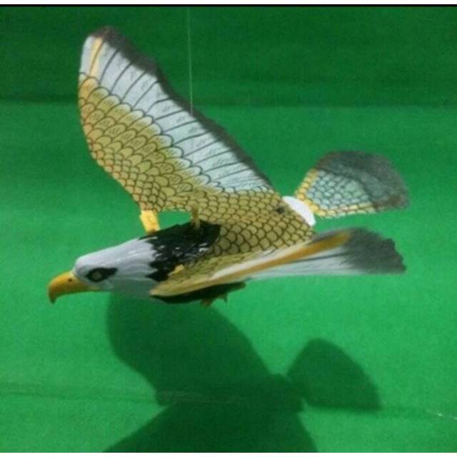 Jual Mainan Burung Gantung Terbang Elang Rajawali Indonesia|Shopee ...