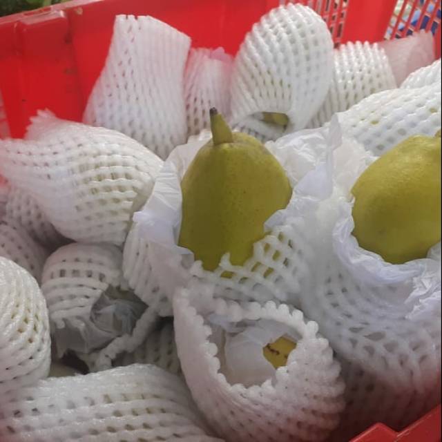 Jual Buah Pear/pir xiang lie segar dan manis 500gr | Shopee Indonesia
