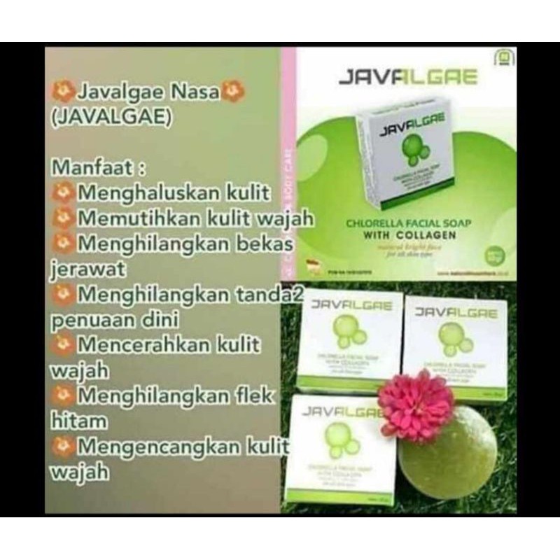 Jual JAVALGAE Indonesia|Shopee Indonesia