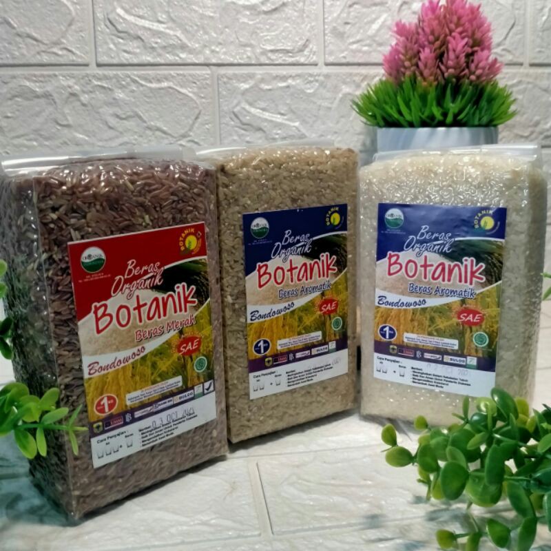 Beras Organik Botanik Beras Aromatik Putih 1kg 1 kg 1000gr Organic rice ...