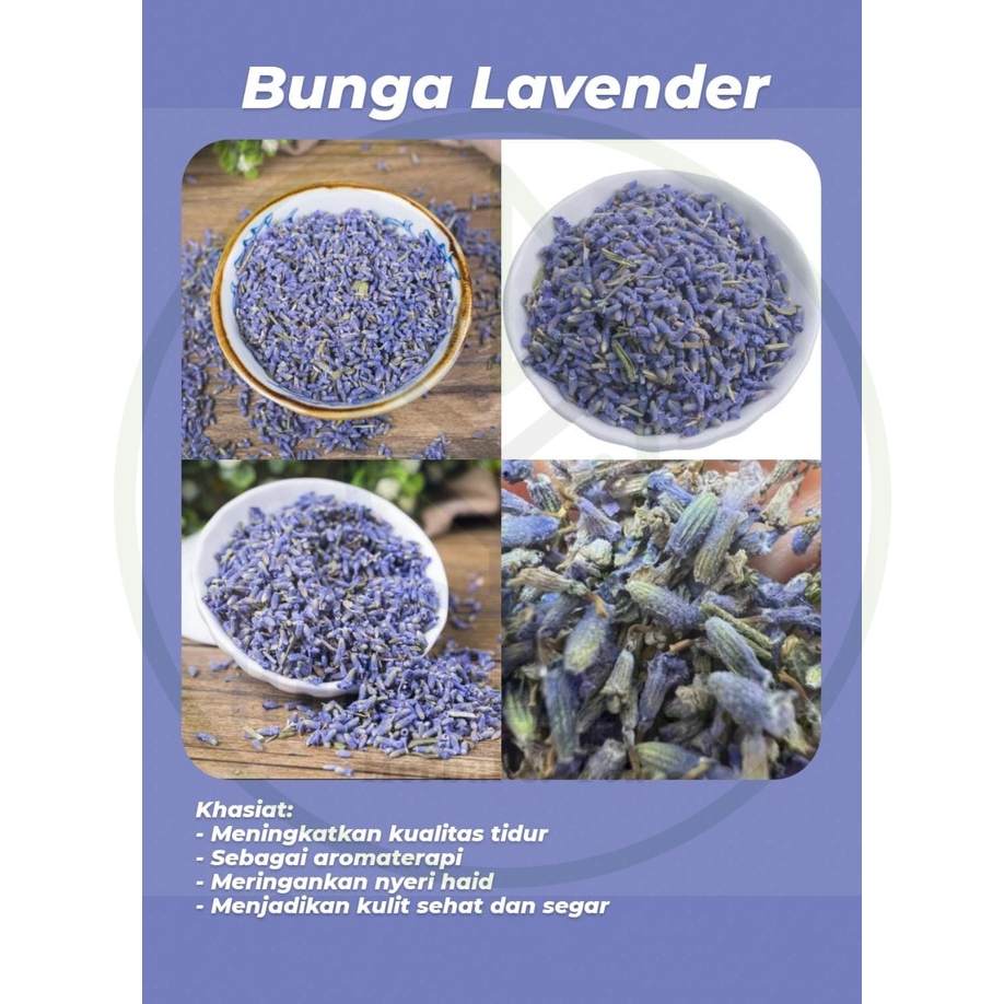 Jual Bunga Lavender Kering , Teh Lavender , Teh Bunga Lavender , Teh ...