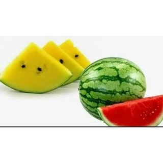 Jual Buah semangka, Melon madu & Melon (merah,kuning,orange,hijau ...