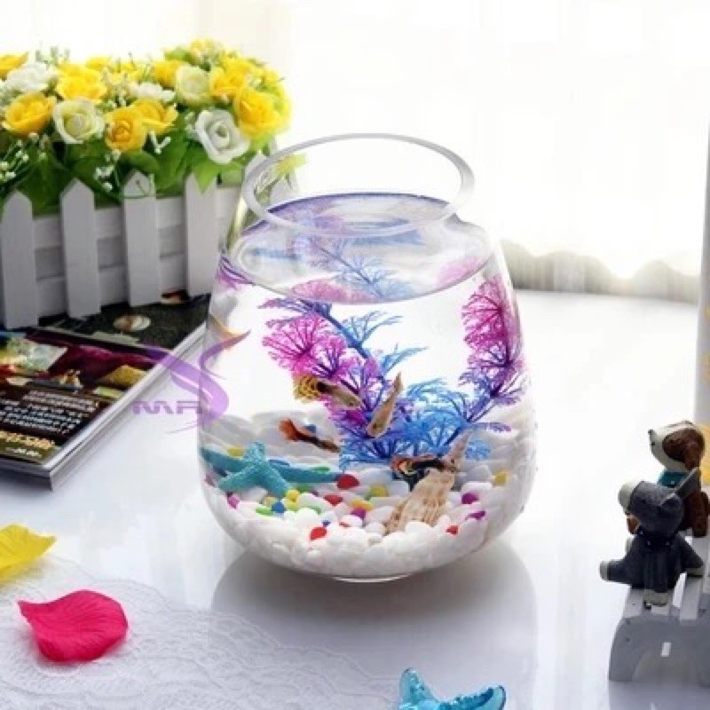 Harga Aquarium Minimalis Unik Terbaru Okt 2024 |BigGo Indonesia