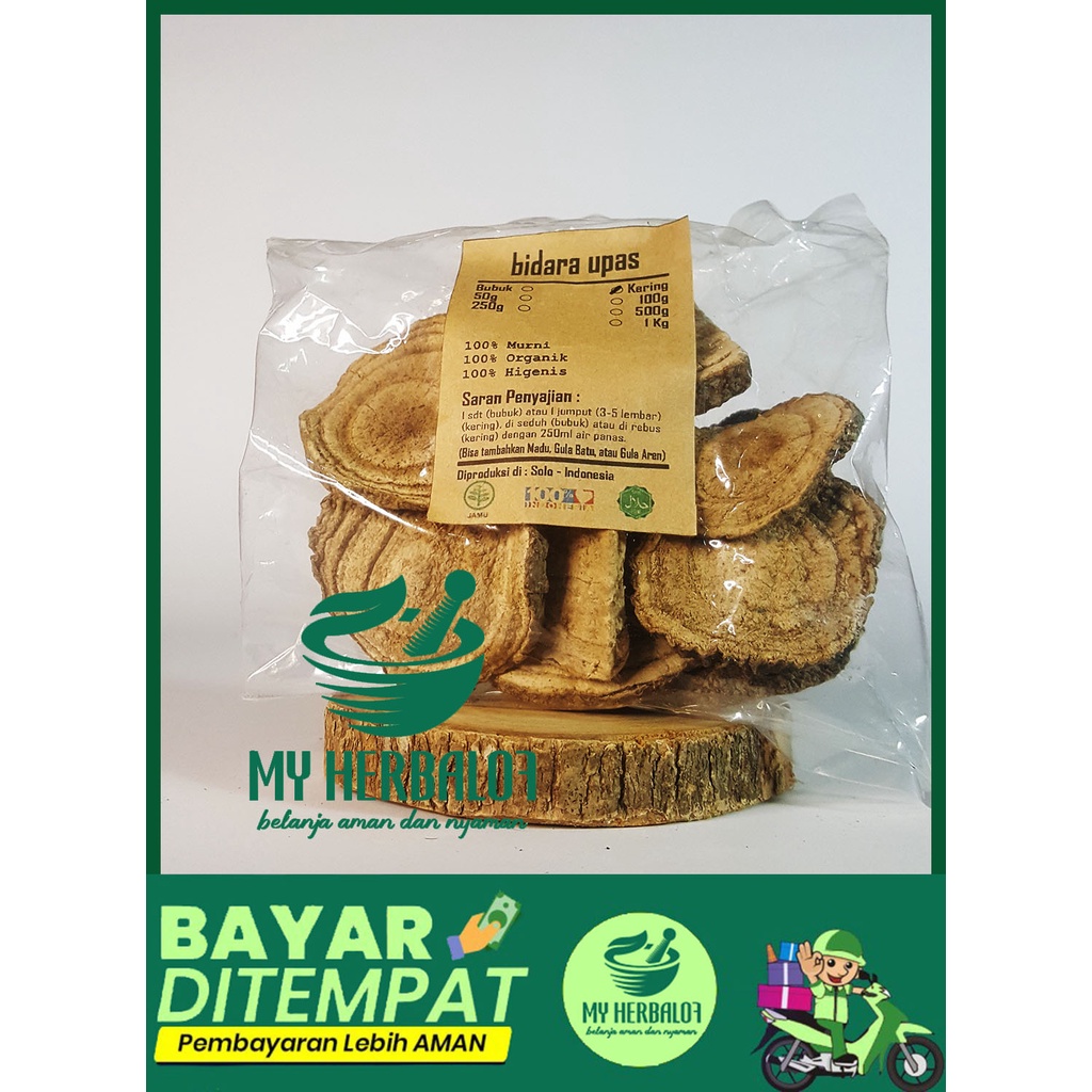 Jual Obat Herbal Teh Bidara Upas Kering / Obat Luka Bakar Melepuh ... Jual Obat Herbal Teh Bidara Upas Kering / Obat Luka Bakar Melepuh ...