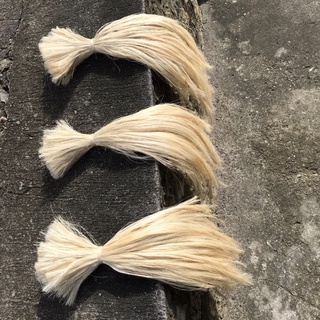 Jual Serat Sisal / Serat Sisalana Agave / Serat Nanas / Agave Sisalana ...