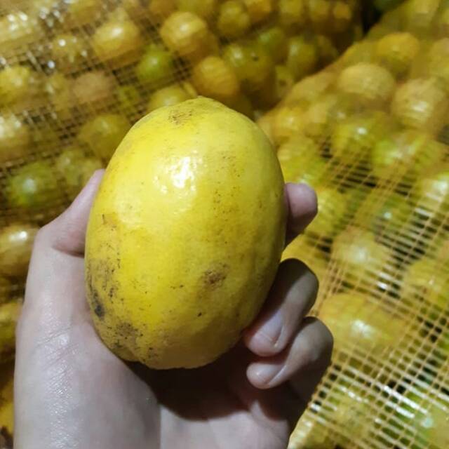 Jual lemon lokal 1kg | Shopee Indonesia