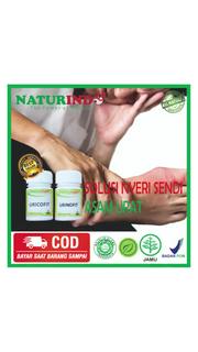 Jual Obat nyeri sendi gout inflamasi sendi lutut sakit lutut nyeri ...