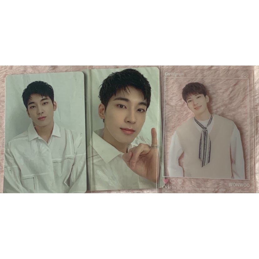 Jual SEVENTEEN WONWOO JANJI JIWA 24H Indonesia|Shopee Indonesia