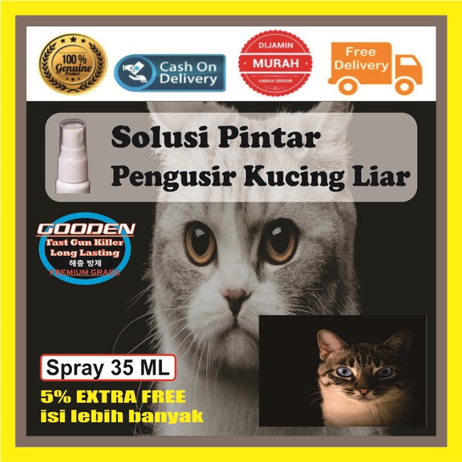 Jual Cairan Pengusir Kucing Liar Berak Sembarangan, Spray Anti Kucing ...