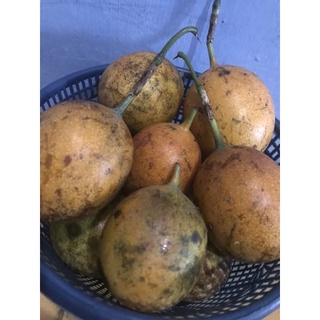 Jual Markisa (Konyal) | Shopee Indonesia