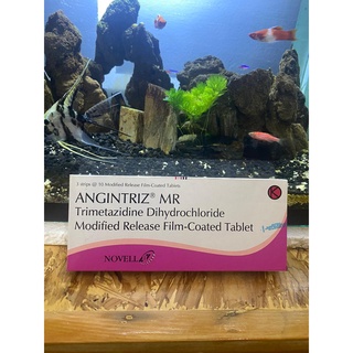 Jual angintriz Harga Terbaik & Termurah September 2022 | Shopee Indonesia