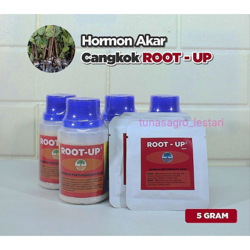 Jual ROOT UP HORMON PERANGSANG AKAR STEK CANGKOK 5GR | Shopee Indonesia