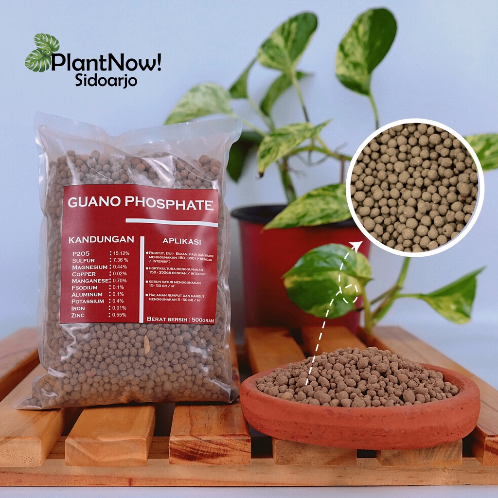 Jual Pupuk Organik Guano Phosphate - Pupuk Penyubur Tanaman ...