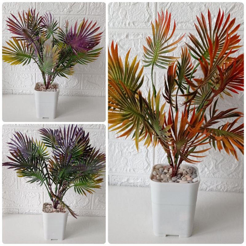 Tanaman pohon palem kipas mini palsu pot 10 cm tinggi 30 cm | Shopee ...
