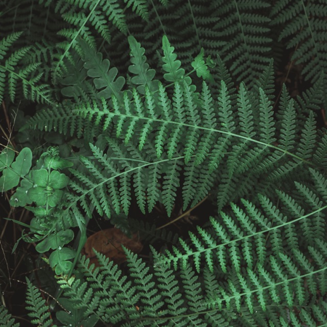 Produk Creative_Ide | Shopee Indonesia