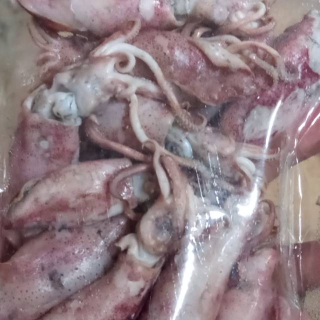 Jual Cumi Sotong BK | Shopee Indonesia