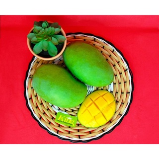 Jual Mangga harum manis, mangga aromanis, mangga fresh murah | Shopee ...