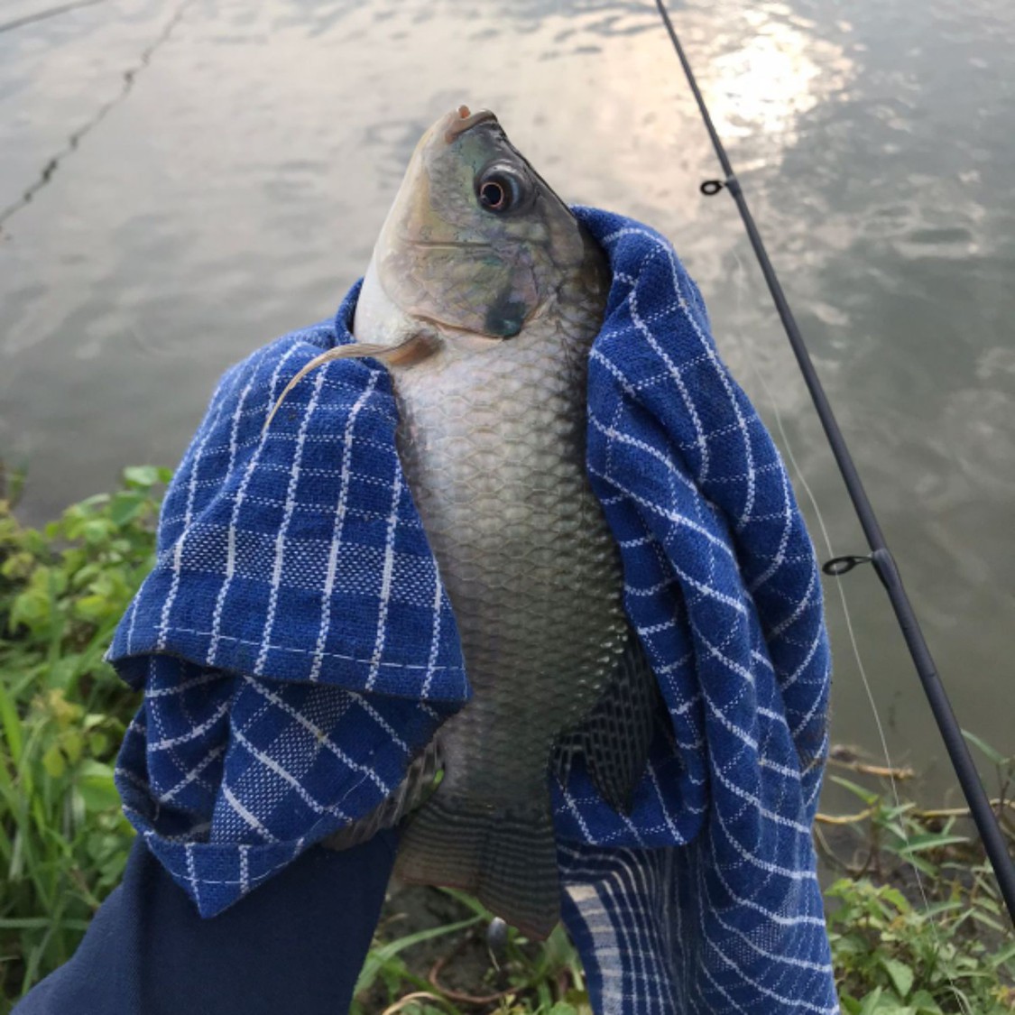 Produk Den_bagus_fishing | Shopee Indonesia