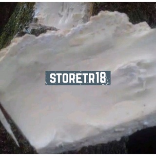 Jual Kulit pohon pule atau pohon lame segar 500 gram | Shopee Indonesia