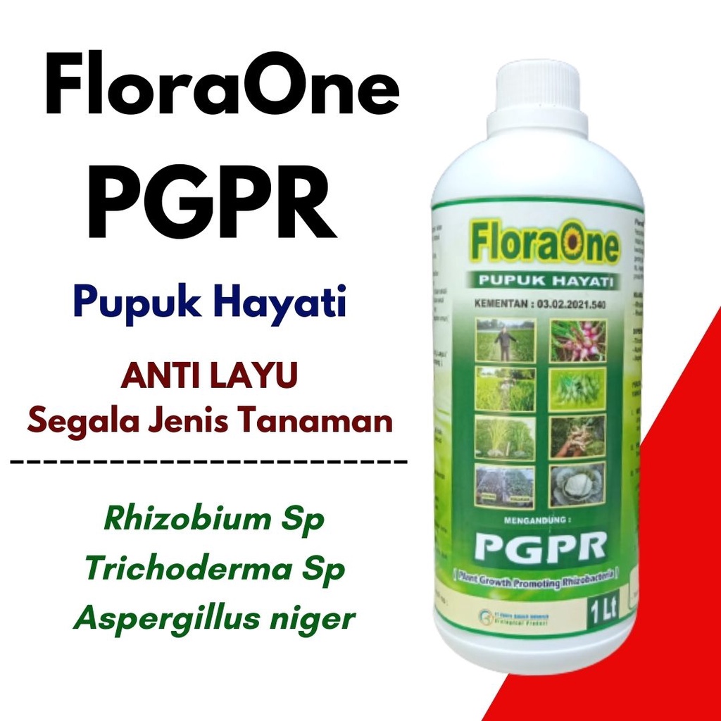Jual Pupuk PGPR Anti Layu Semua Tanaman, PUPUK HAYATI Buah Dan Sayur ...