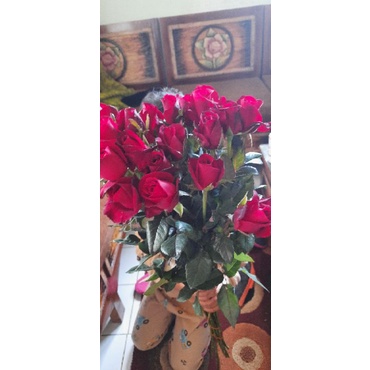 Jual Bunga mawar merah segar/bunga mawar potong tangkai panjang(harga ...