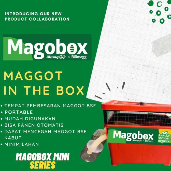 Jual Magobox (Maggot in The Box) Olah Sampah dari Rumah | Shopee Indonesia