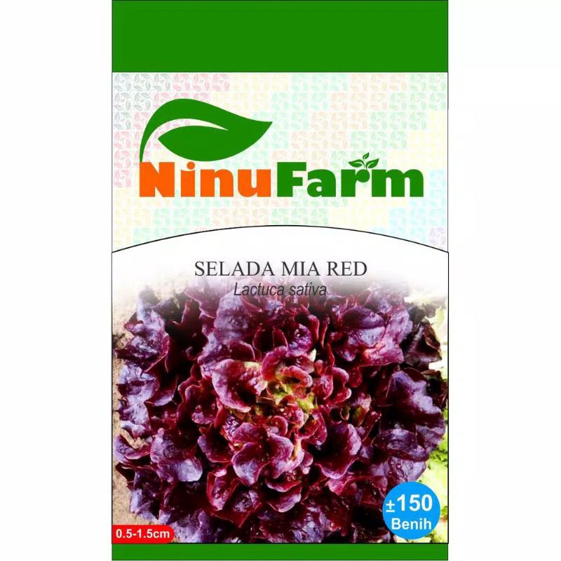 Jual Benih SELADA MERAH MIA/ SELADA UNGU/ SELADA MIA RED | Shopee Indonesia