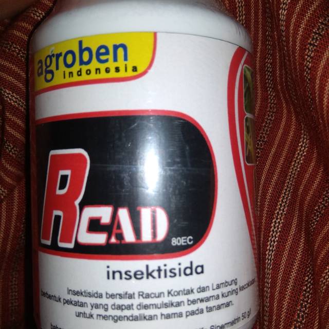 Harga Insek Terbaru Juli 2024 |BigGo Indonesia