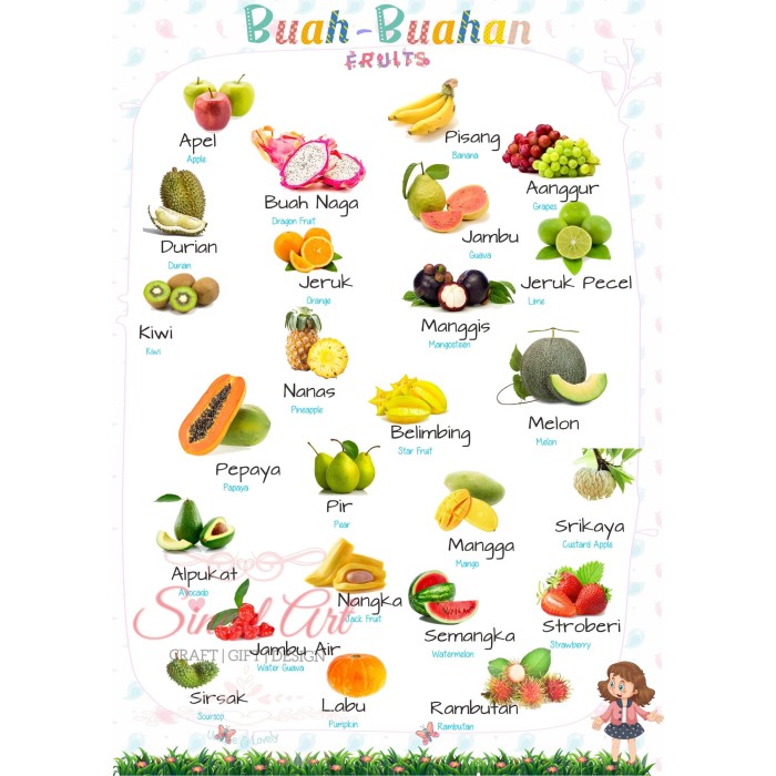 Jual Sineul Art Poster Buah-Buahan/Mainan Edukatif/Dekorasi Kamar Anak ...