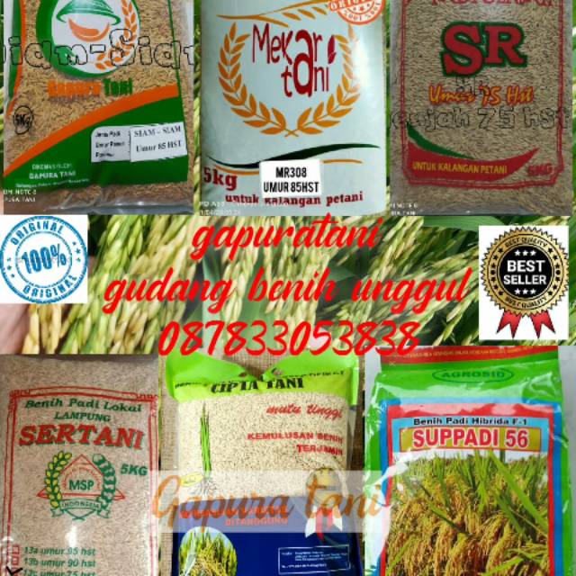 Produk TULUS TANI | Shopee Indonesia