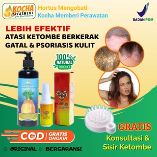 Jual Hortus Obat Kulit Penghilang Psoriasis dan Kocha Shampoo Anti Ketombe Berkerak Gatal Rambut ...