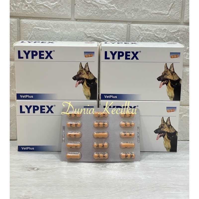 Jual Lypex Vetplus 1 Kapsul - Enzim Anti Diare Anjing Kucing Sakit Pankreas | Shopee Indonesia