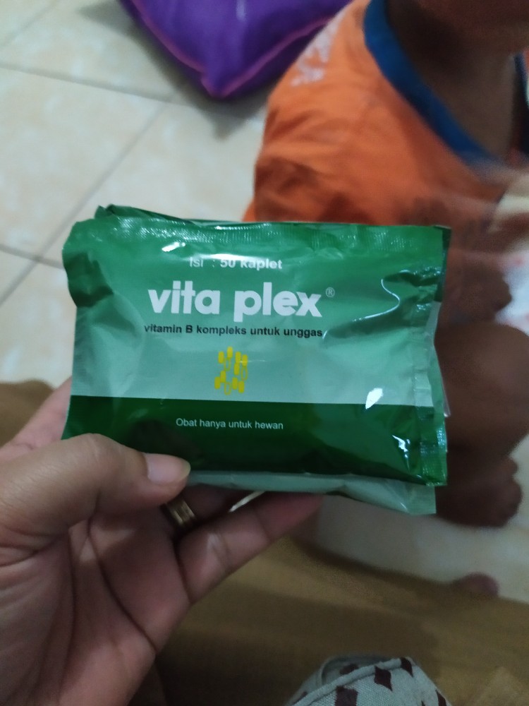 VITAPLEX/VITA PLEX ISI 50 KAPLET VITAMIN B KOMPLEKS UNGGAS | Shopee ...