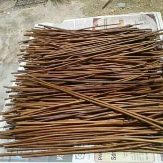 Jual Batang paku andam 30cm kayu resam harga satuan | Shopee Indonesia