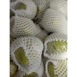 Jual Jambu Kristal Putih Jambu Crystal Krystal Crystal Guava 1 Kg ...