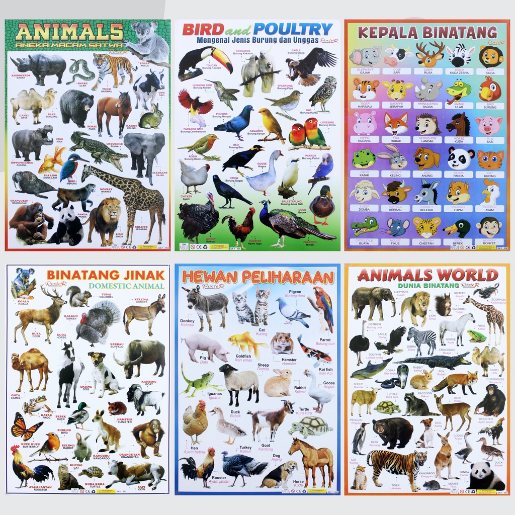 Poster Seri Edukasi Anak Lembaran Animals World Macam Satwa Bird ...