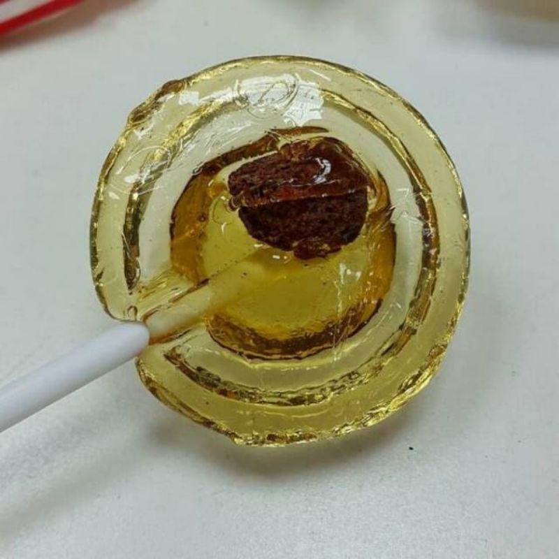 Harga Permen Candy Plum Terbaru Oktober 2022 |BigGo Indonesia