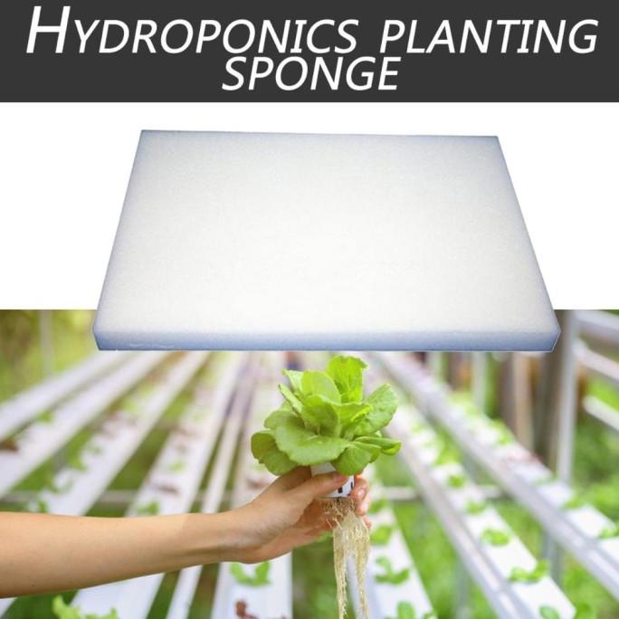 Jual Sale Pot Spons Media Tanam Sayuran Tanpa Tanah Untuk Balkon ...