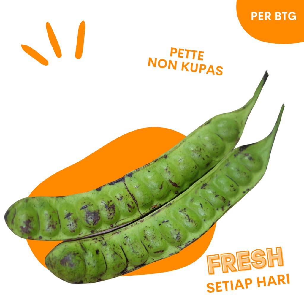 Jual Sayur Sayuran PETAI PETTE BATANG PER KG 500GR FRESH Sayuran Online ...